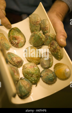 Abalone commercial farming Stock Photo - Alamy