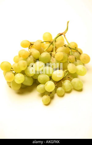 Regina di Sicilia grapes, Italy Stock Photo - Alamy
