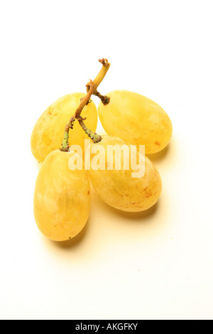 Regina grapes, Italy Stock Photo - Alamy