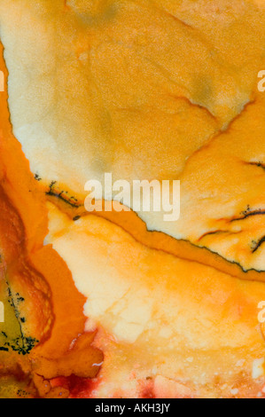 Picture jasper cut rock detail Stock Photo - Alamy