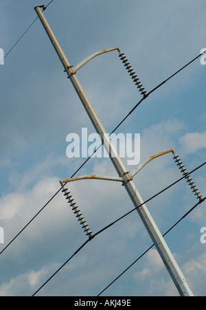 Utility pole supporting wires for electrical power distribution ...