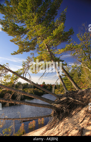 Two Hearted River, Michigan s Upper Peninsula Stock Photo - Alamy