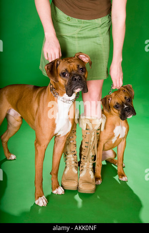 Low section of woman sitting on pier by sea Stock Photo - Alamy