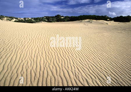 Ripples on sand dunes Innes National Park South Australia Stock Photo ...