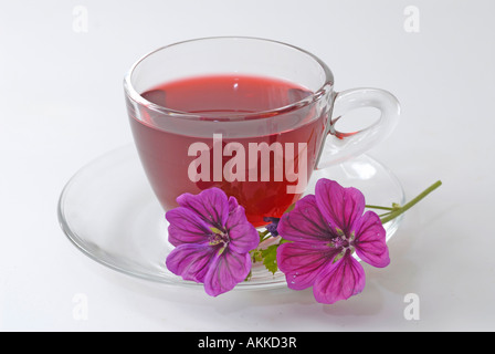 Mallow infusion Malva sylvestris Stock Photo - Alamy