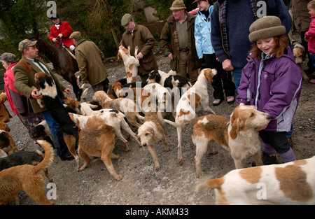 Welsh Fox Hounds Stock Photo: 33700323 - Alamy