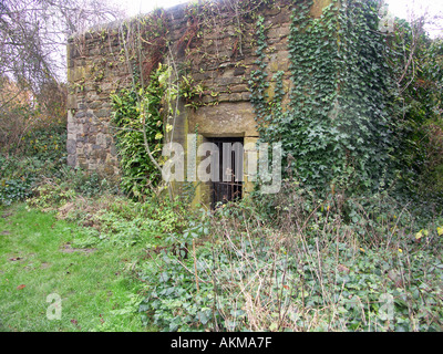 Alvecote Priory Ruins. The remains of the ivy clad dovecote or dovecot ...