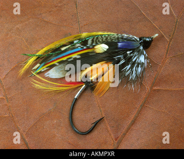 Classic Salmon Fly The Jock Scott Stock Photo - Alamy