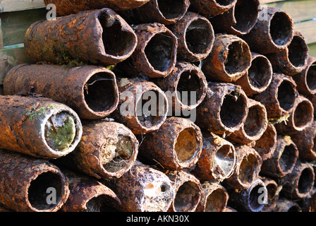 Pile of rusty First World War One artillery grenade shells, dug up in ...