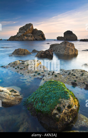 Mupe Bay on Dorset's Jurassic Coast located in the Lulworth Army Range ...