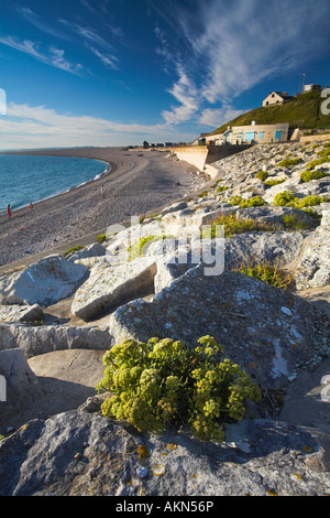 West Weares and Chiswell, Portland, Dorset, from a boat off the ...