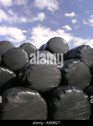 hay straw bales bagged protected plastic covered silage in pile stack ...