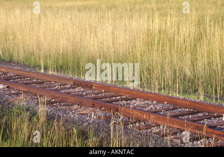 Close-up of an railroad tracks with its rusty rails and wooden sleepers ...