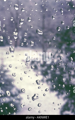 frozen water drops on tree Stock Photo - Alamy