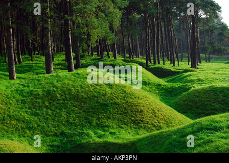 OVergrown World War One trench line in Verdun, France Stock Photo - Alamy
