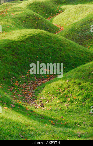 World War One trench, France Stock Photo - Alamy