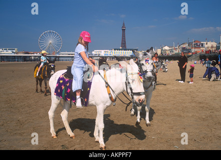 donkey, ride, blackpool, seafront, sea, front, prom, prominard Stock ...