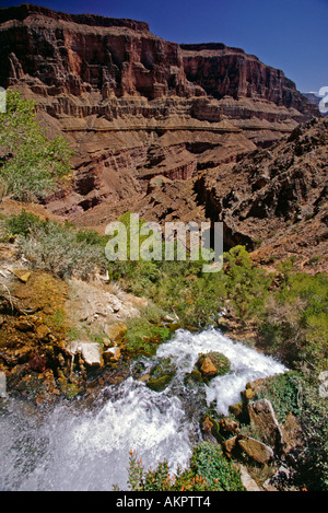 Thunder River Spring Grand Canyon Arizona Stock Photo - Alamy