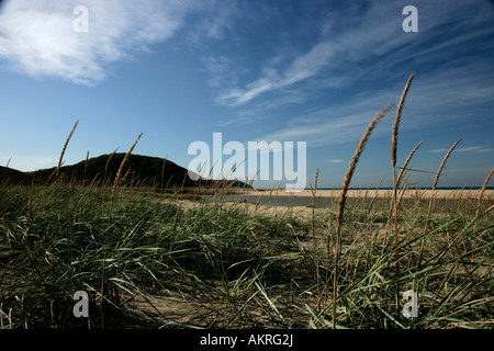 Agva beach on the Black Sea coast in the Sile district of Istanbul ...
