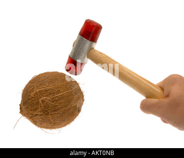 to open a coconut with a hammer hit Stock Photo - Alamy