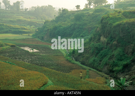 Indonesia, Java, Sangiran, Homo Erectus Site, Paleomagnetic Dating ...