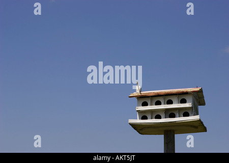 Multi Unit Bird House Stock Photo - Alamy