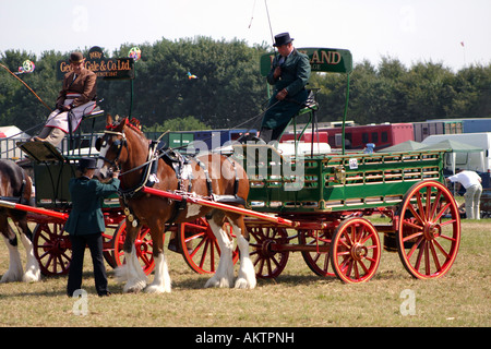 Shire horse with handler pulling George Gale brewery dray at Great ...