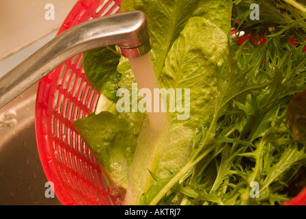 Closeup of washing salad leaves. Water drops drip from washed lettuce ...