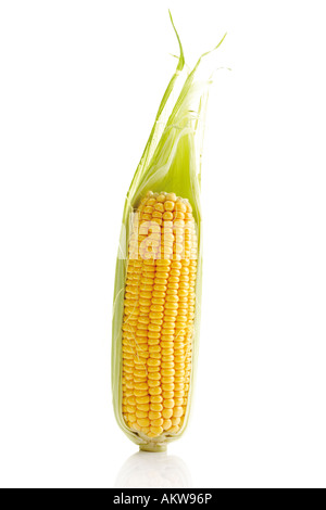 Close-up shot of a cut corn cob isolated on a white background Stock ...