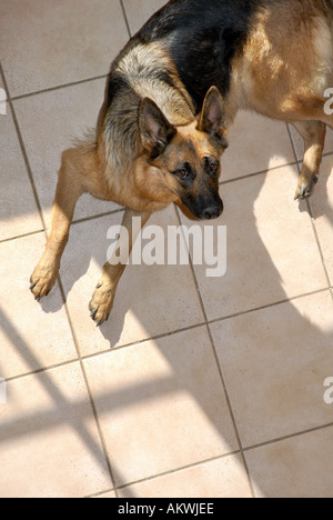 A vertical shot of the sun shining over a rural trail near a seashore ...