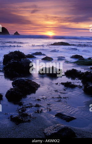scenic coast landscape at bodega bay in California Stock Photo - Alamy