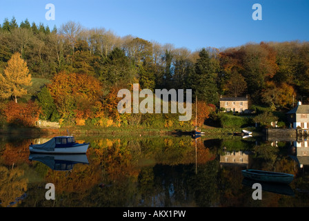 Riverside scene at Lerryn Cornwall Stock Photo - Alamy