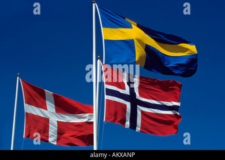 flags of the nordic countries Norway Denmark Sweden Finland Stock Photo ...