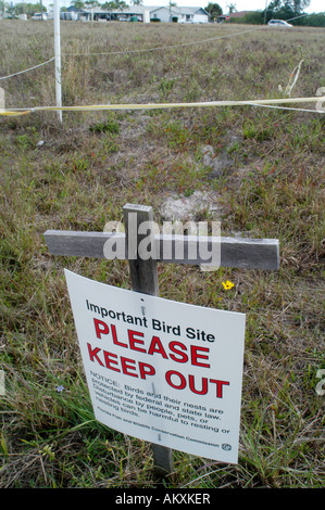 burrowing owl marked off nesting area in suburb florida bird nest ...