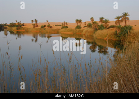 Umm al-Maa Lake (Ubari Lakes), oasis in the Idehan Ubari sand sea Stock ...