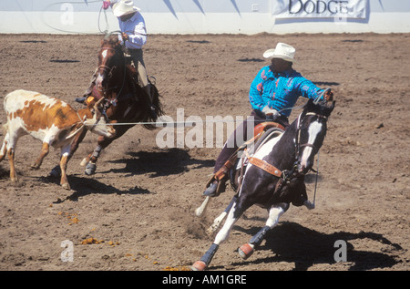 Team roping event Old Spanish Days Fiesta Rodeo and Stock Horse Show ...