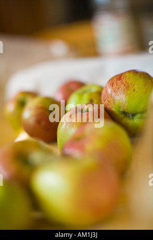 Freshly harvested apples Stock Photo - Alamy