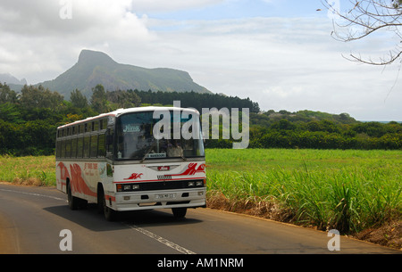 Mauritius, public transport, local bus on motorway approaching ...