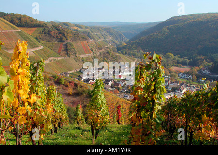 Ahr Valley, Germany. The village of Dernau, a center of wine production ...
