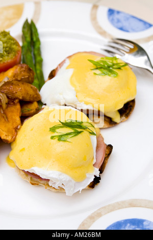 Eggs Benedict with english muffin, soft cheese, ham, tomato, basil ...