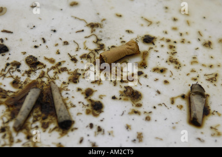 wet cigarettes tobacco white background ruined ruin destroy health ...