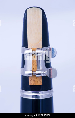 The clarinet is a single-reed musical instrument in the woodwind family ...