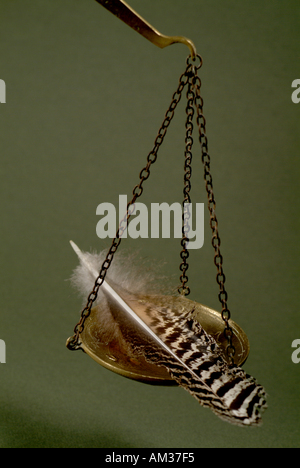 Feather on scales. Heavy feather weight ton Stock Photo - Alamy