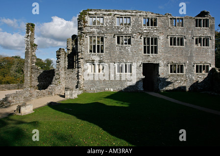 Berry Pomeroy Castle, Devon Stock Photo - Alamy