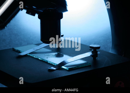 Optical microscope stage Stock Photo - Alamy