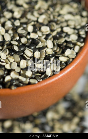 Black split gram in bowl on white background, uncooked urad chilka dal ...