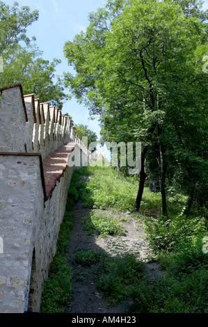 Hunger Wall Prague Stock Photo: 20663044 - Alamy