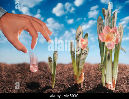 Make your money grow Stock Photo - Alamy