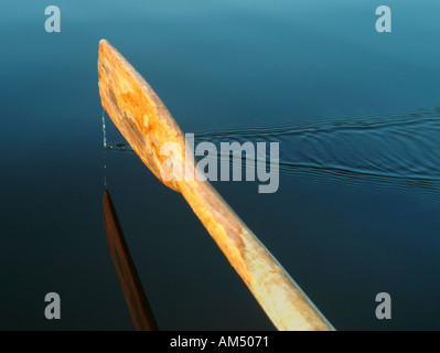 Oar In Water Stock Photo - Alamy