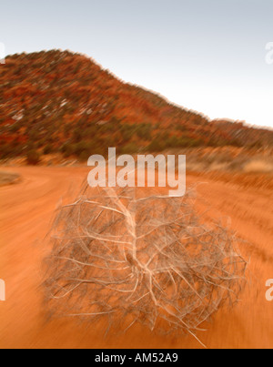 A tumbleweed rolling down a dirt road in the desert Stock Photo - Alamy